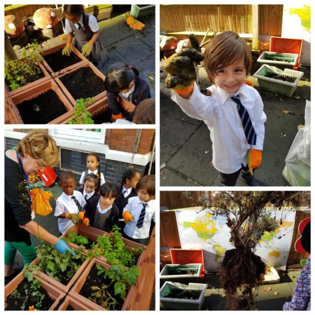 Science | Curriculum | Learning | Fulham Primary School